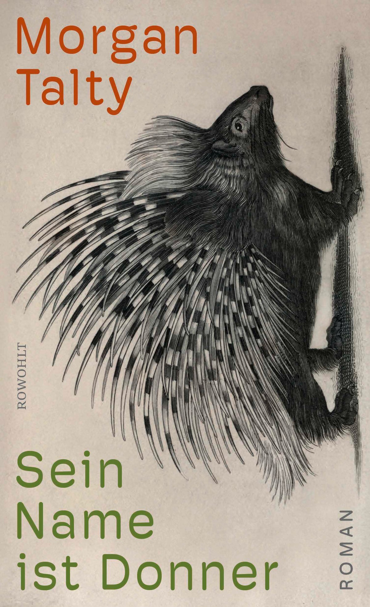 Sein Name ist Donner — Buchhandlung am Goetheanum